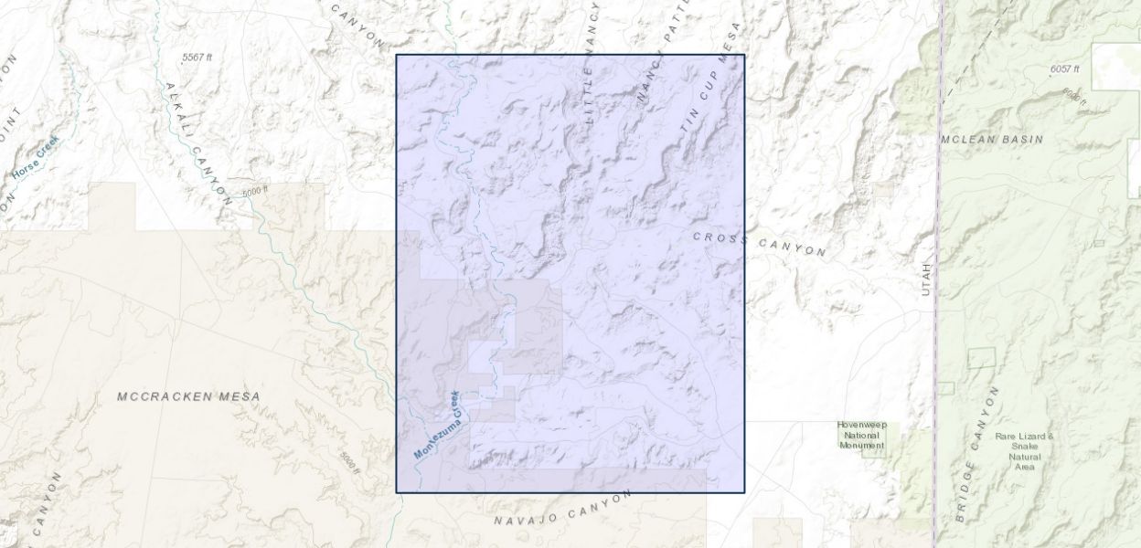 Photogeologic map of the Aneth-2 quadrangle, San Juan County, Utah | U ...