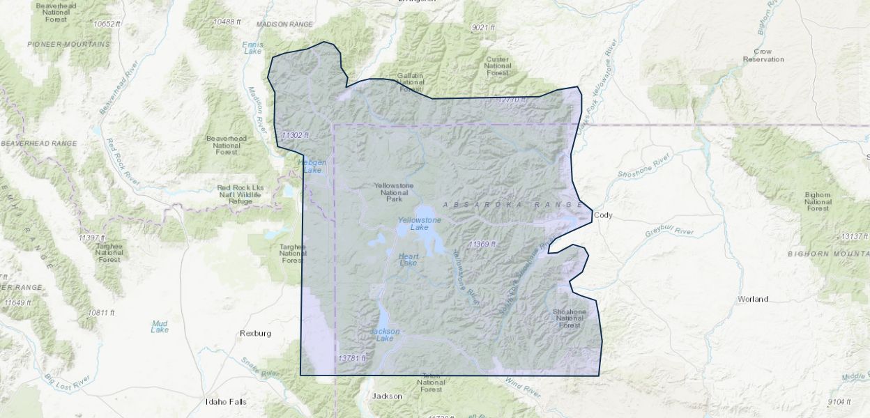 Animal migration amid shifting patterns of phenology and predation ...