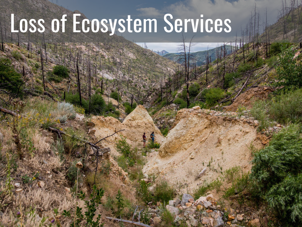 Climate Impacts on Plants and Animals | U.S. Geological Survey