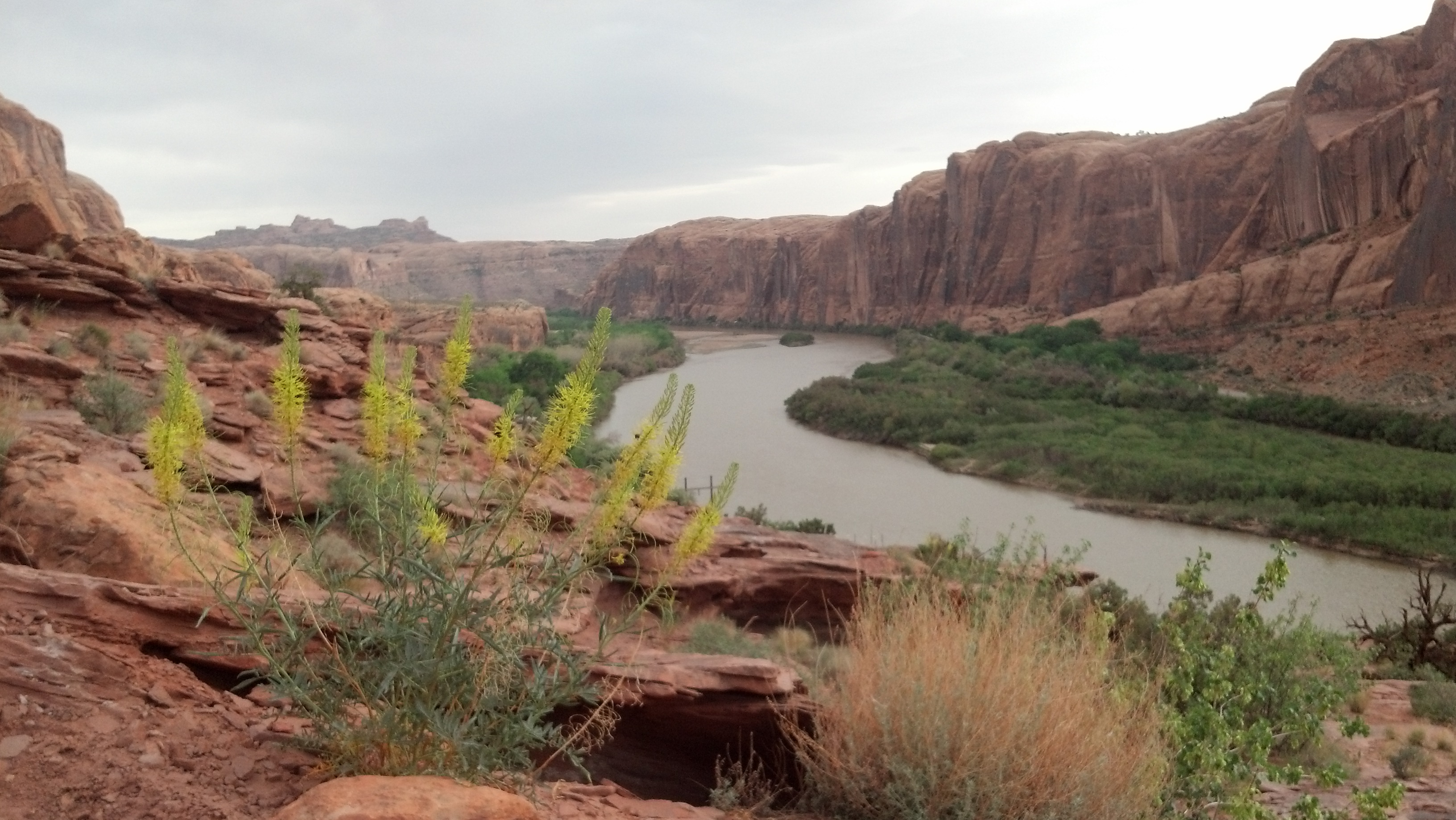 coloradoriver.jpg | U.S. Geological Survey