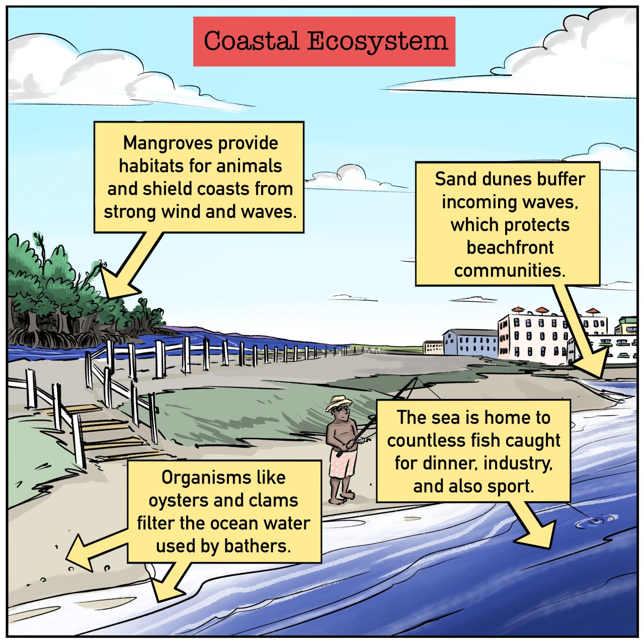 Coastal Ecosystems | U.S. Geological Survey
