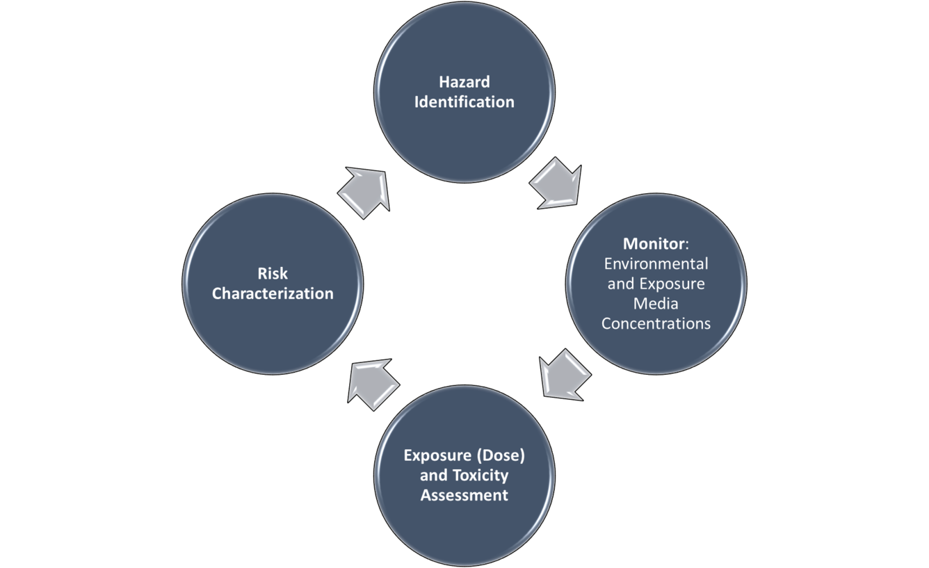 Environmental and Human Health Risk Assessment Diagram | U.S ...