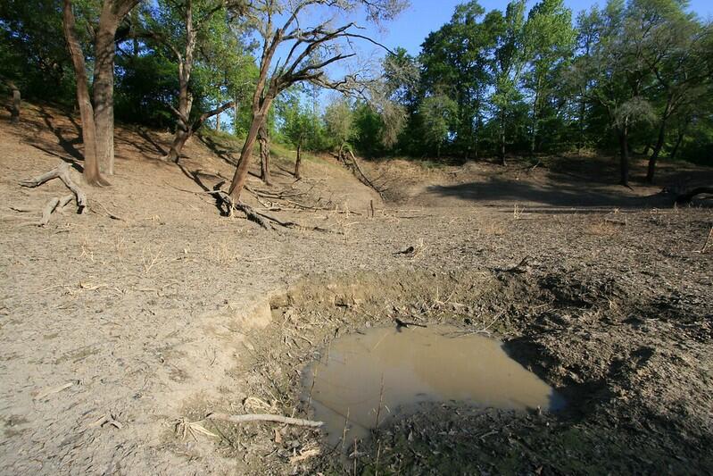 dried pond
