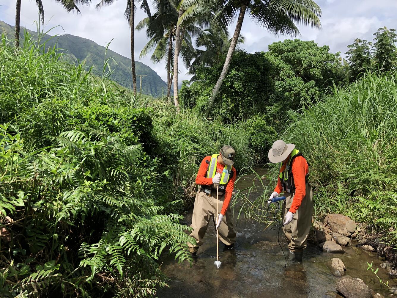 Water-sample collection from stream | U.S. Geological Survey