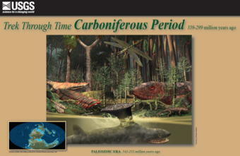 Permian Period Plants