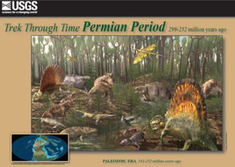 Permian Period Plants