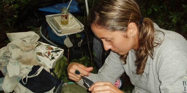 Hummingbird Measurements | U.S. Geological Survey