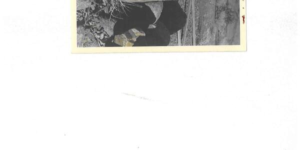 Old Stone Field Marker | U.S. Geological Survey