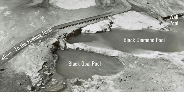 black pool media