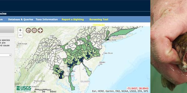 Flood and Storm Tracker map of Northern Snakeheads | U.S. Geological Survey