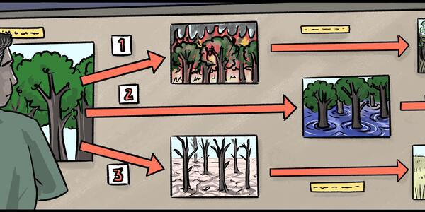 Climate Change Scenario Planning Cartoon | U.S. Geological Survey