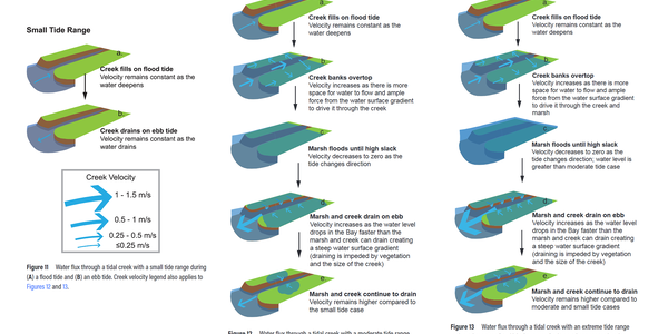 tidal flow illustration