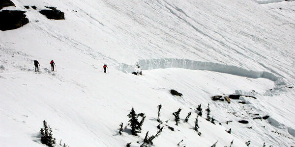 snow avalanche study establishment