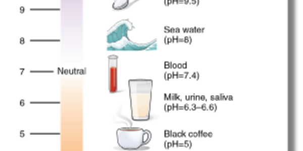 simple ph scale drawing