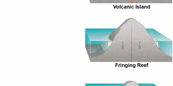 atoll formation process