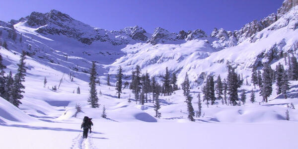 Linking water, carbon, and nitrogen cycles in seasonally snow-covered ...