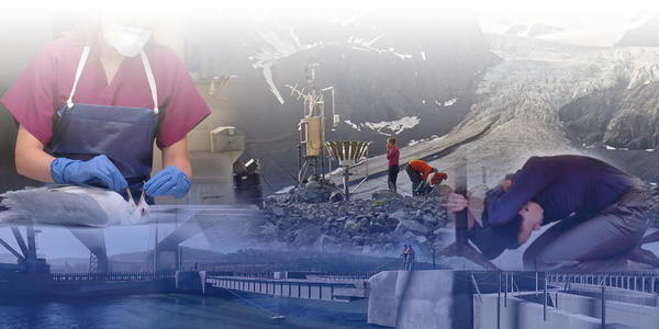 Critical Issues Collage | U.S. Geological Survey