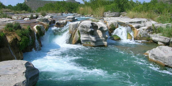 Assessing Future Changes to Spring Phenology and False Springs in the ...