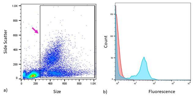 flow cytometry histogram interpretation