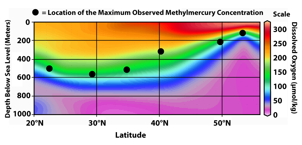 ocean graphics charts