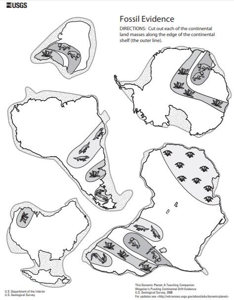 fossils continental drift examples