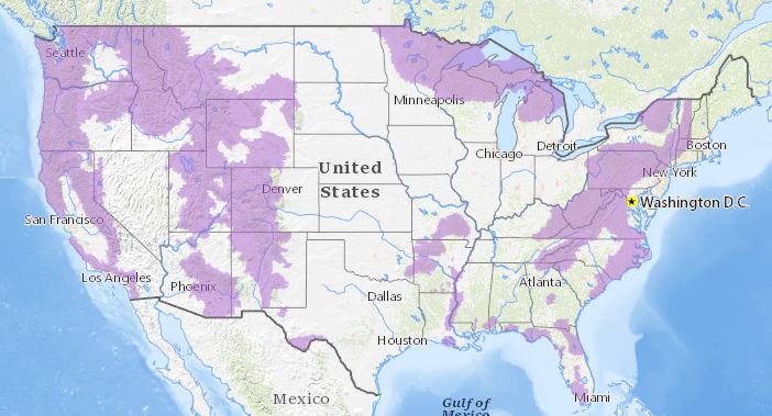 brown bear range usa
