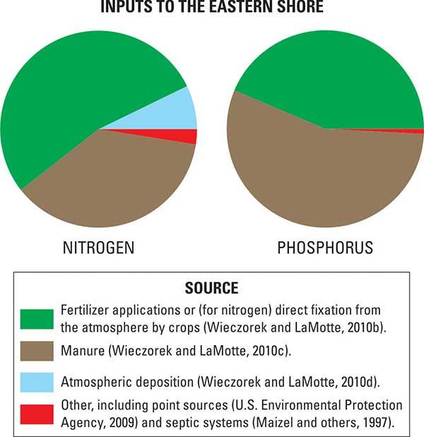 phosphorus sources