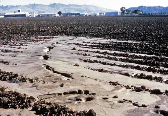 soil liquefaction example