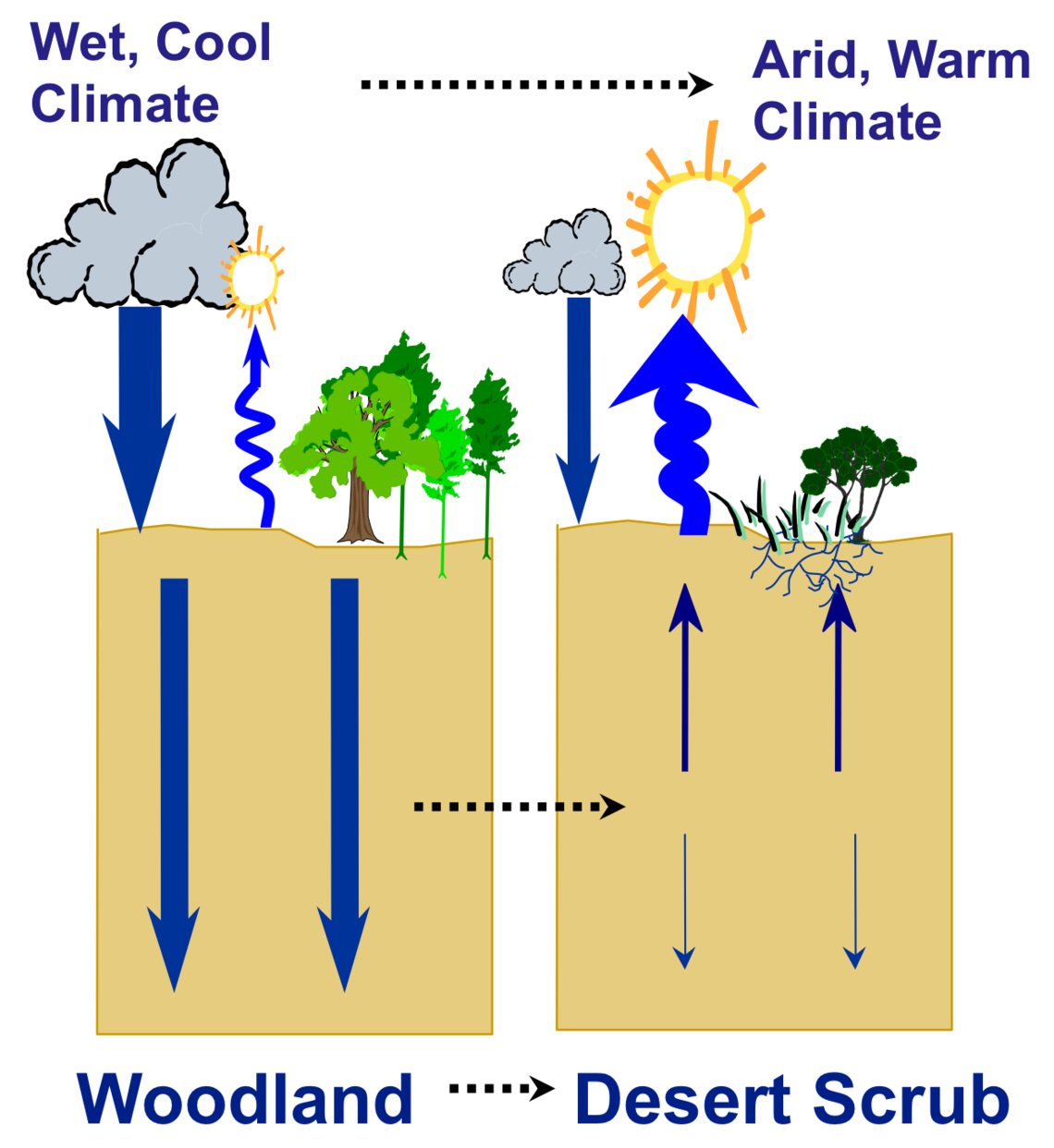 desert climate description