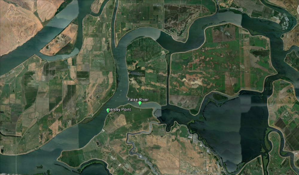 Application of the SmeltCam to Describe Processes Influencing Delta ...