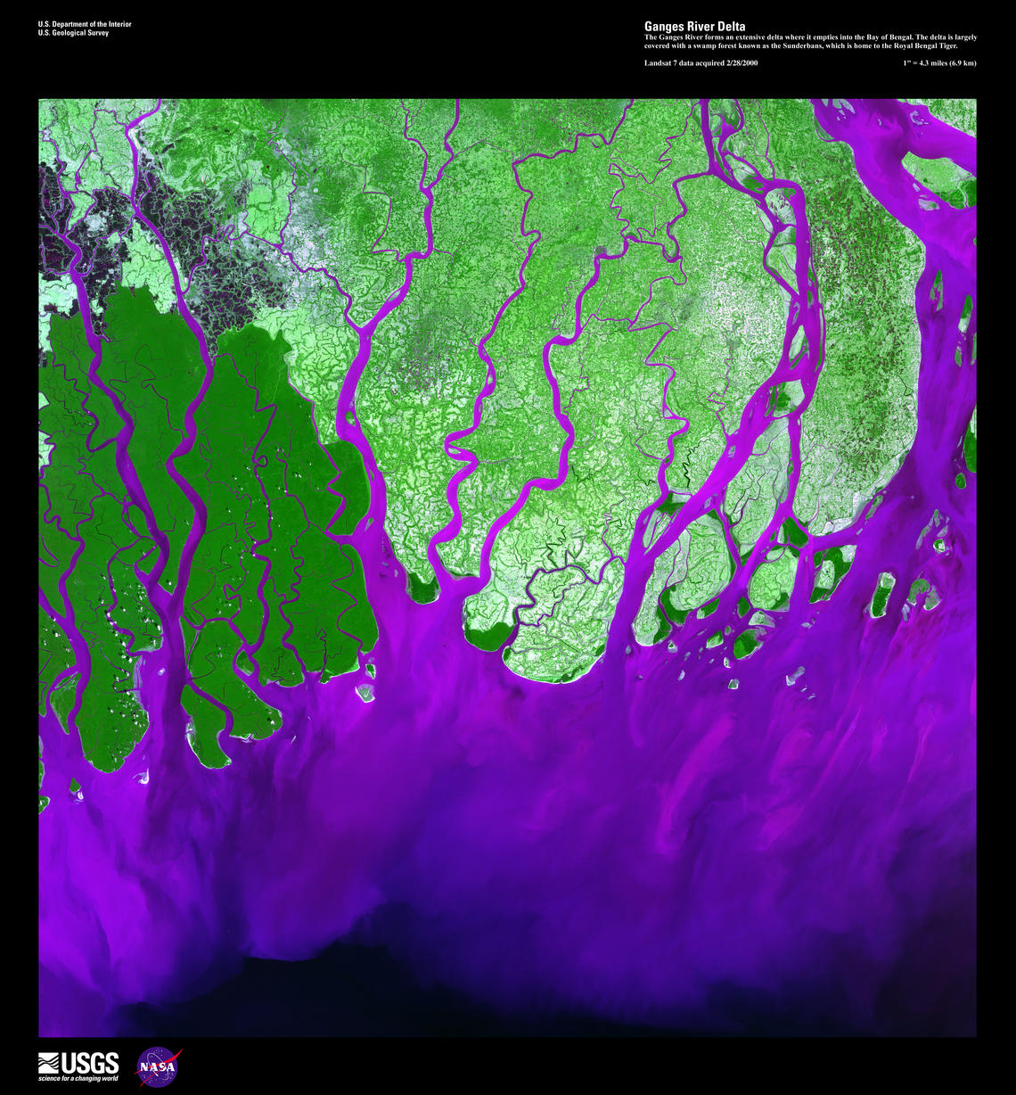 ganges river delta type