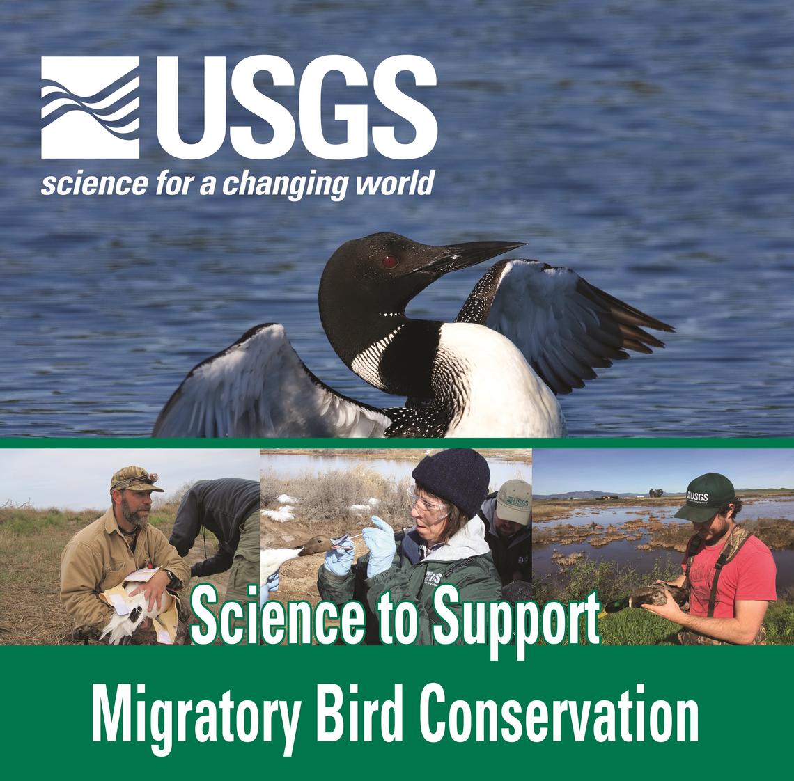 USGS Ecosystems science in support of Migratory Bird Conservation | U.S ...