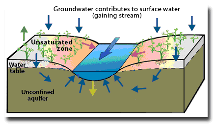 A gaining stream has water seeping into it from the ground. | U.S ...