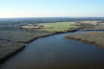 An Eco-immunological Study of Chesapeake Bay Waterfowl | U.S ...