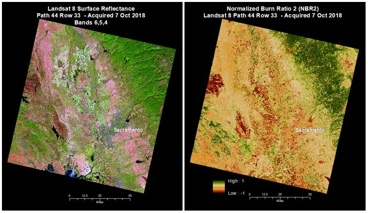 Landsat Surface Reflectance and Normalized Burn Ratio 2 | U.S ...